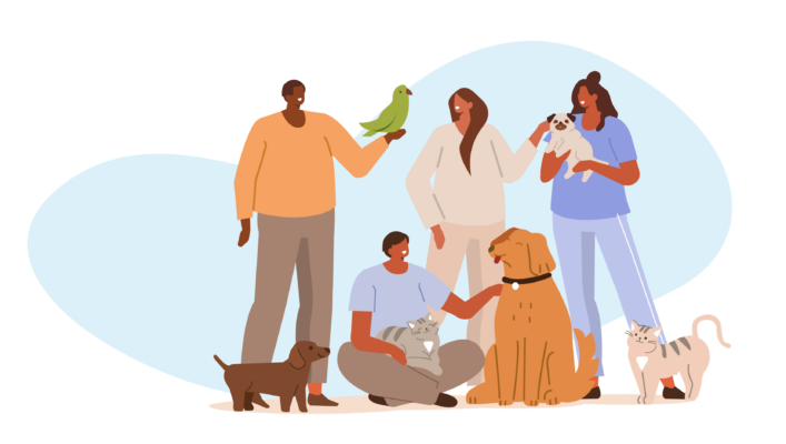 welcome | PKA SoftTouch